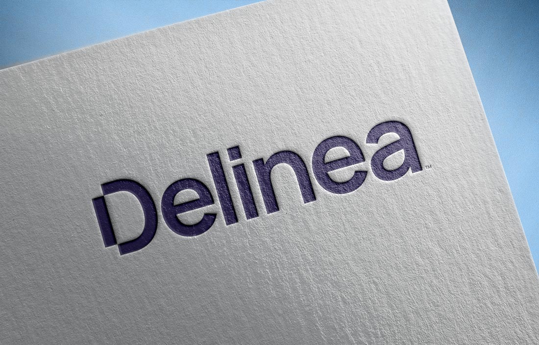 Delinea - Inforte Bilişim A.Ş.